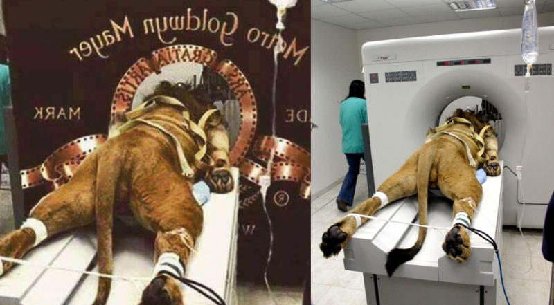 15 Famous Photos That Are Actually Fake - Inspiration, Creativity, Wonder.